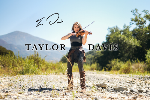 Taylor Davis Violin Store